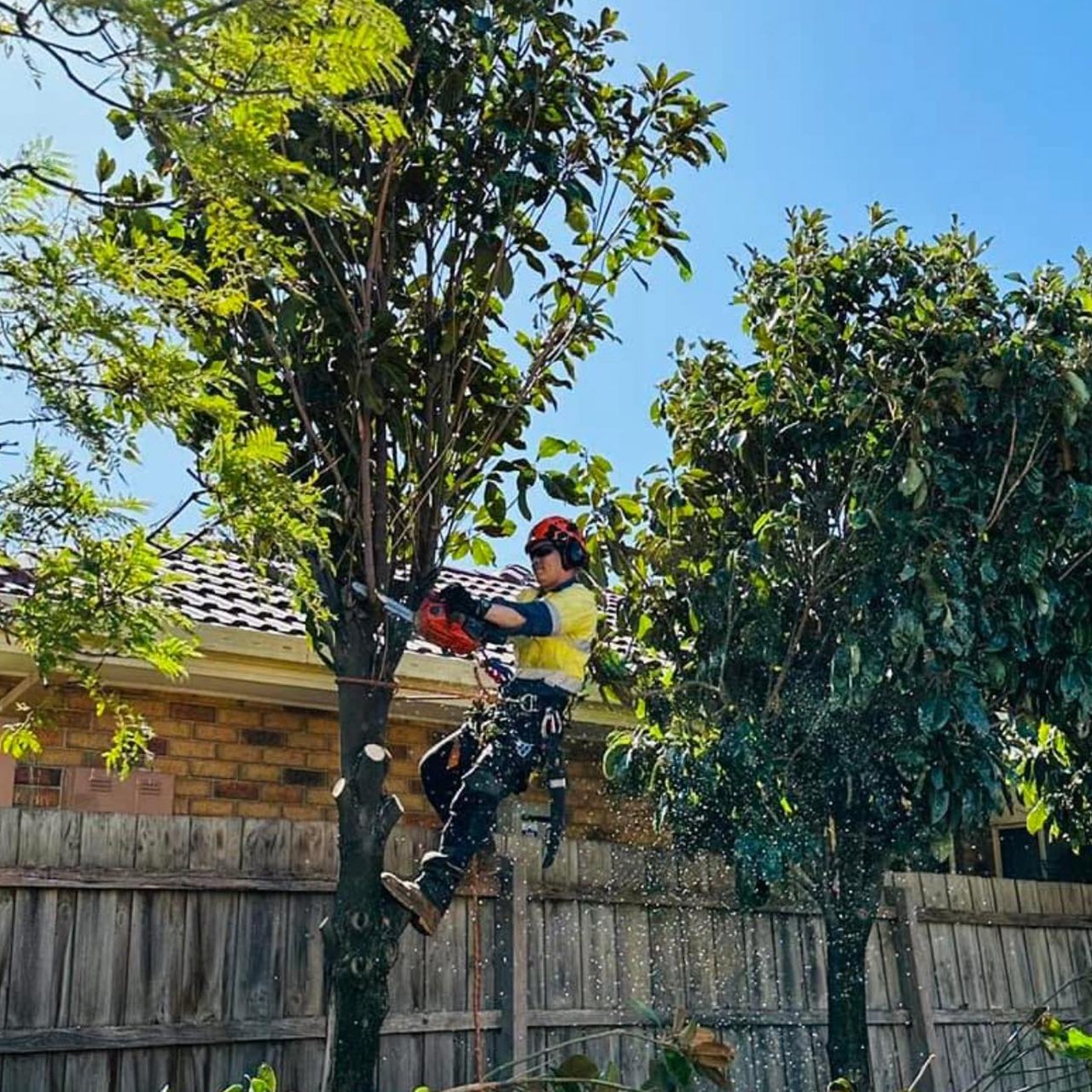 Gideon Tree Services | Tree Removal & Trimming in Lalor VIC